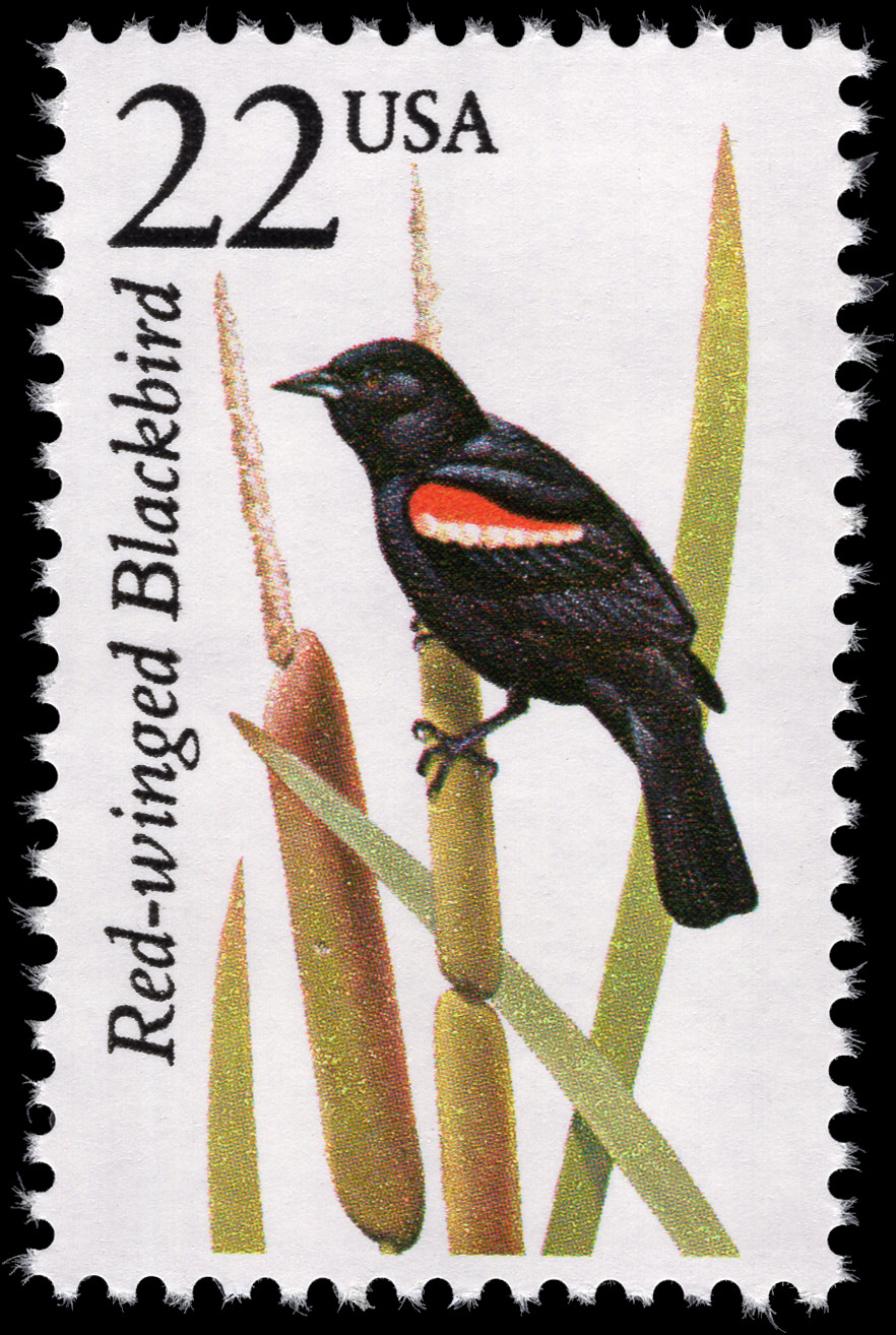 US Scott # 2303, Red Winged Blackbird North American Wildlife 1988 22 ...