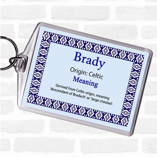 Brady Name Meaning Bag Tag Keychain Keyring Blue | eBay