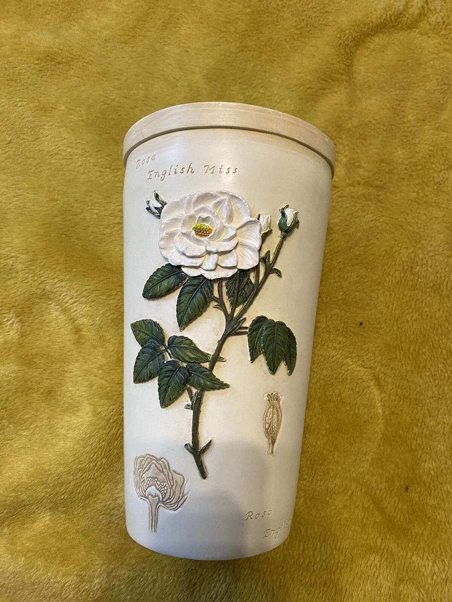 Marks And Spencer White Rose Sale Online | emergencydentistry.com