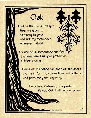 OAK Tree Nature Stength Prayer Pagan Wicca Book of Shadow Poster Page 8 ...