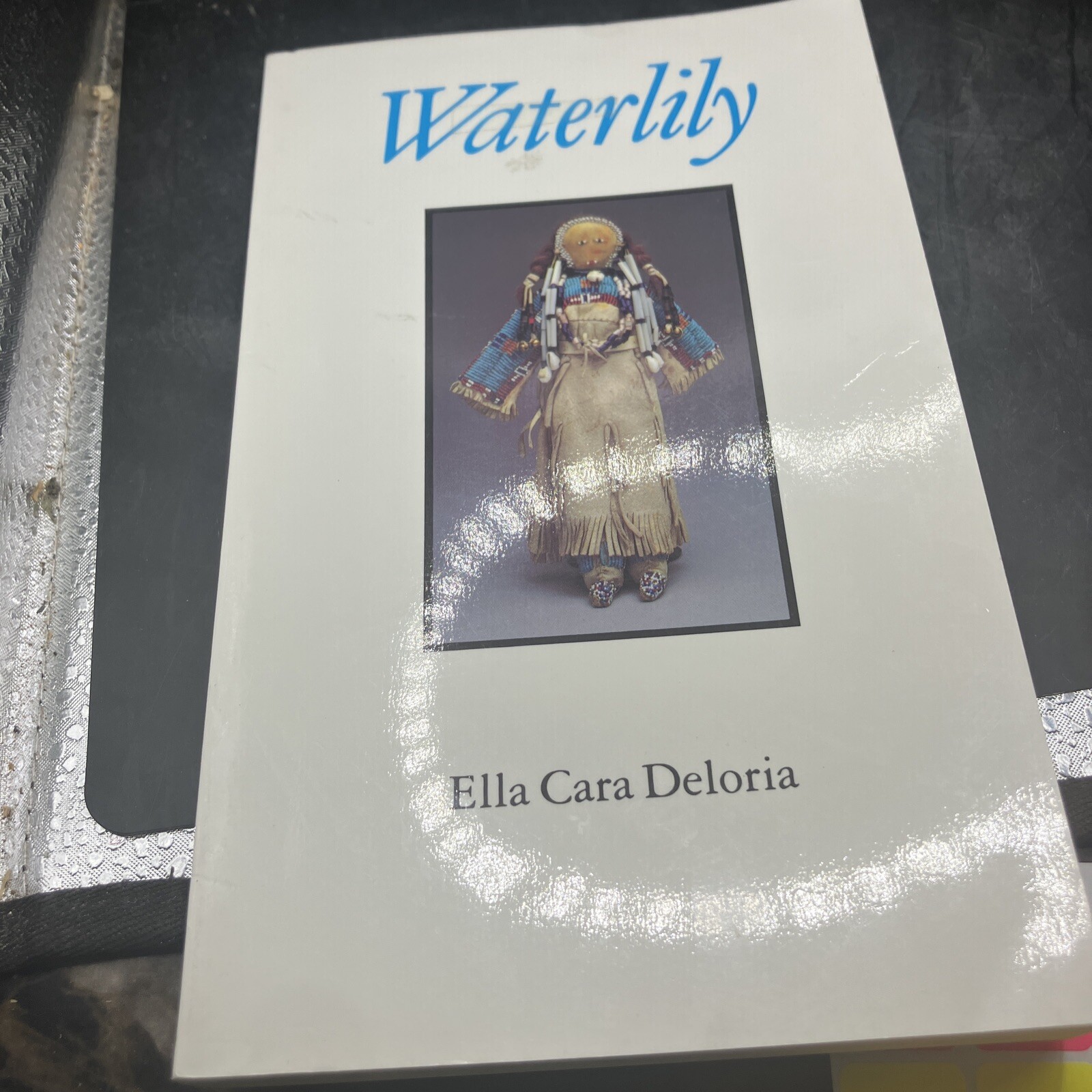 Waterlily, Ella Cara Deloria, Good Condition, Book. AD 9780803265790| eBay