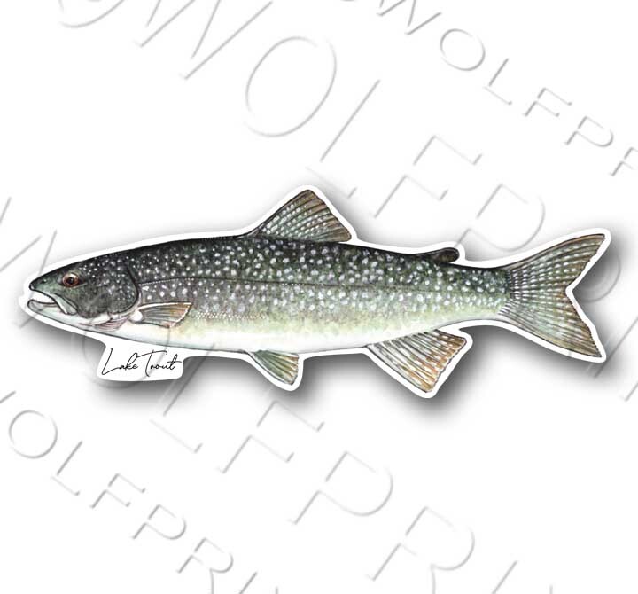 Rainbow Trout Fish Sticker 6" or 11" Wide Walleye Bass Boat Car Window ...