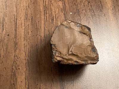 australian Tigers eye, smooth brown top and bottom, wavy black sides | eBay