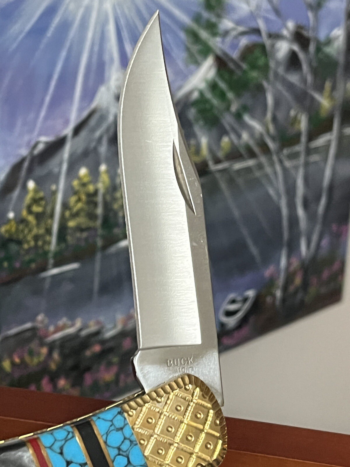 BUCK 110 Hunter Turquoise Onyx Coral Black Pearl Wild Horse J Kidd #1/1 ...