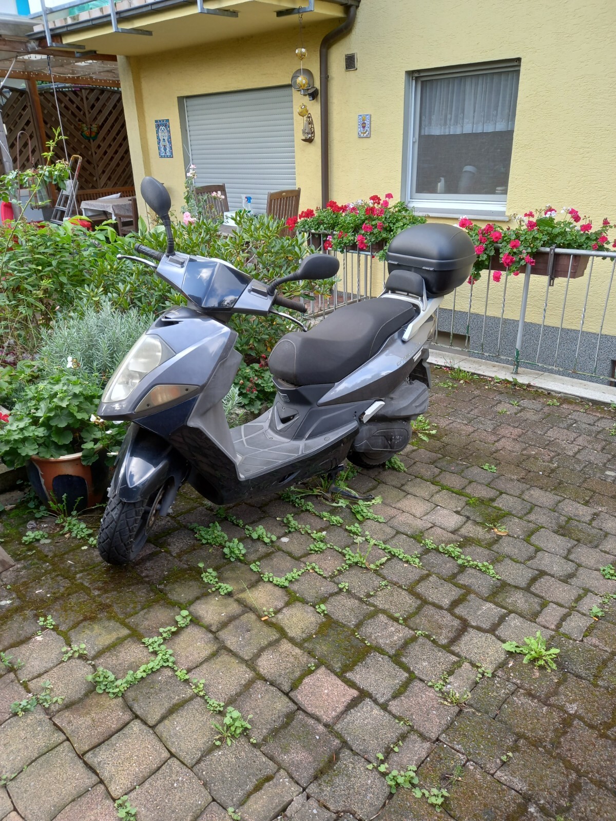 Motorroller Bei Ebay