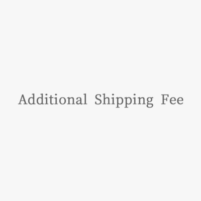Additional Shipping Fee | eBay