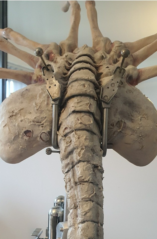 Alien facehugger replica with lab base Alien Earth | eBay UK