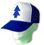 DIPPER HAT Gravity Falls Cartoon BLUE PINE TREE Adjustable Trucker Cap ...
