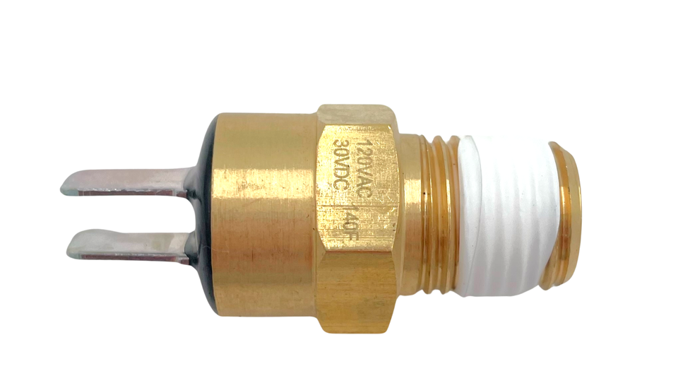 Pentair 42002-0025S Replacement 140F AGS Switch 12 Month Warranty | eBay