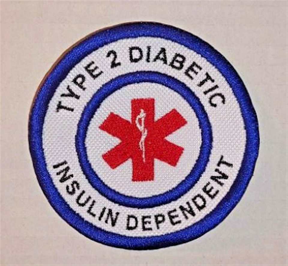 Embroidered 3" U Pick Hook or Sew-On Patch - TYPE 2 DIABETIC INSULIN ...