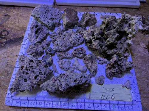 Premium Seasoned Dry Live Rock | eBay