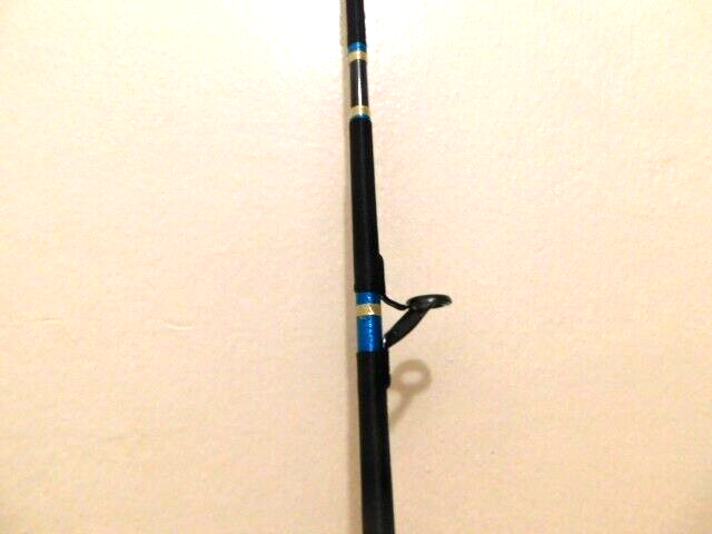CUSTOM CONVENTIONAL STAND UP ROD BLACK BLUE AFTCO 50-80 LB 6' UB2 UNI ...