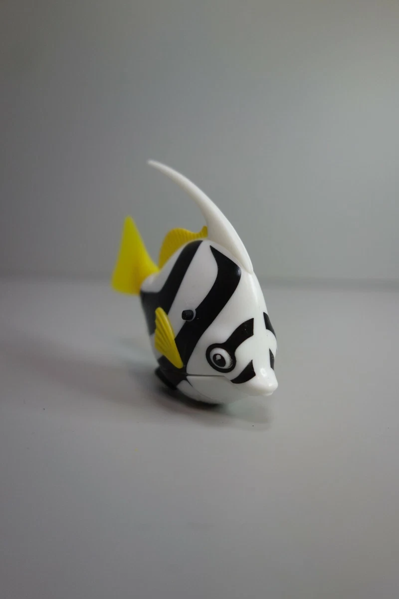 Gill Finding Nemo Type Of Fish