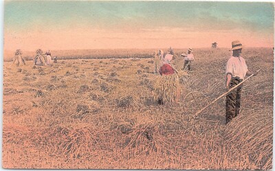 Postcard Men Women Children Haying Field Hand Thresher Box BB | eBay