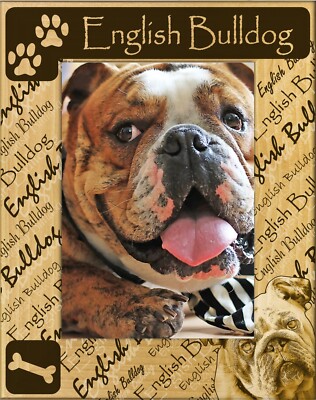 English Bulldog Laser Engraved Wood Picture Frame Portrait (8 x 10) | eBay