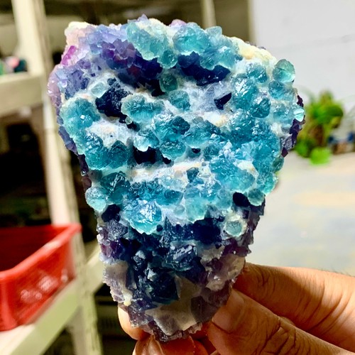 311G Natural transparent purple+green Octahedral fluorite mineral ...