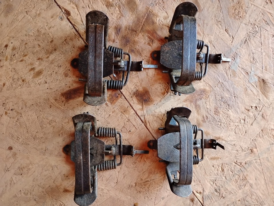 4 #2 Victor Coil Spring Traps. | eBay