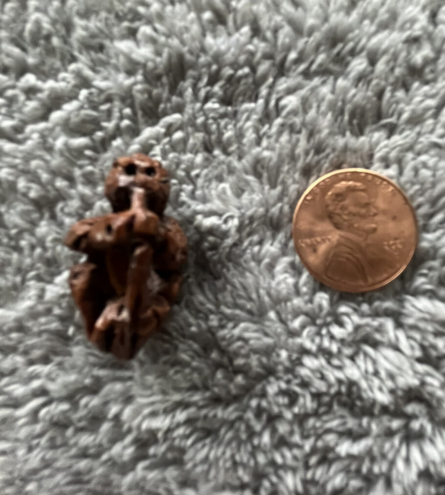 Unique Monkey Hand Carved Out Of A Walnut Shell Penda… - Gem