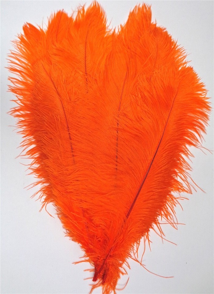 Orange Ostrich Feather 16-20 inch Long per Each | eBay
