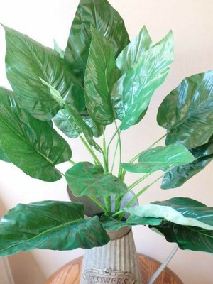 (1) 24" Artificial Shiny EMERALD QUEEN PHILO Philodendron - for HOME ...