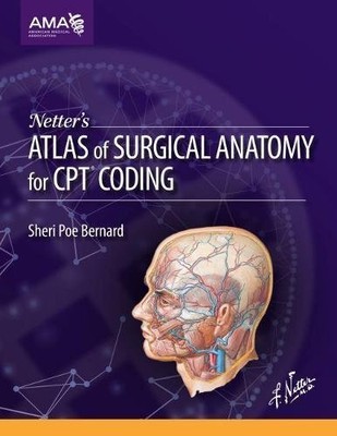 NETTER'S ATLAS OF SURGICAL ANATOMY FOR CPT CODING By Sheri Poe Bernard ...