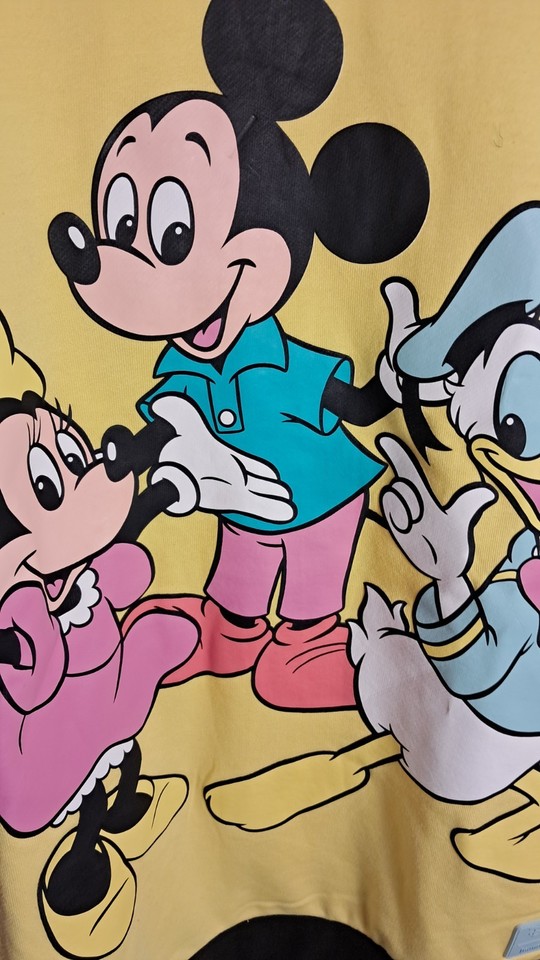 Disney Loungefly Hoodie Mens Neon Mickey Minnie Donald Goofy Daisy 2023 ...