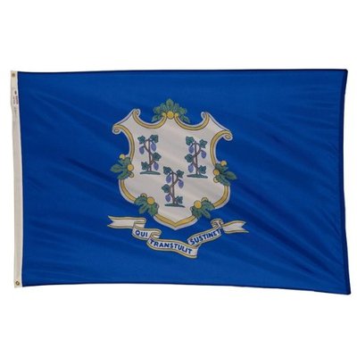 2x3 Connecticut State Nylon Flag 2'x3' Banner Grommets 100D | eBay
