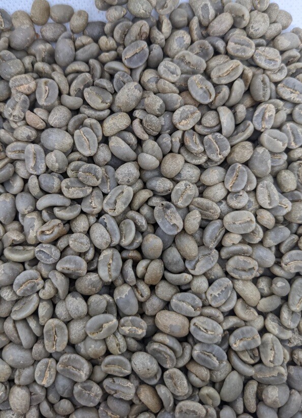 5 LBS HIGHLAND PERUVIAN UNROASTED GREEN COFFEE BEANS - ORGANICALLY ...