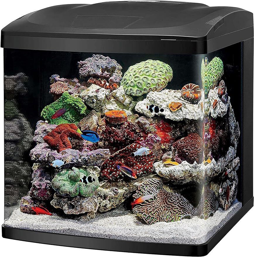 LED BioCube Aquarium Fish Tank Kit 32 Gallon Home Office Tabletop ...