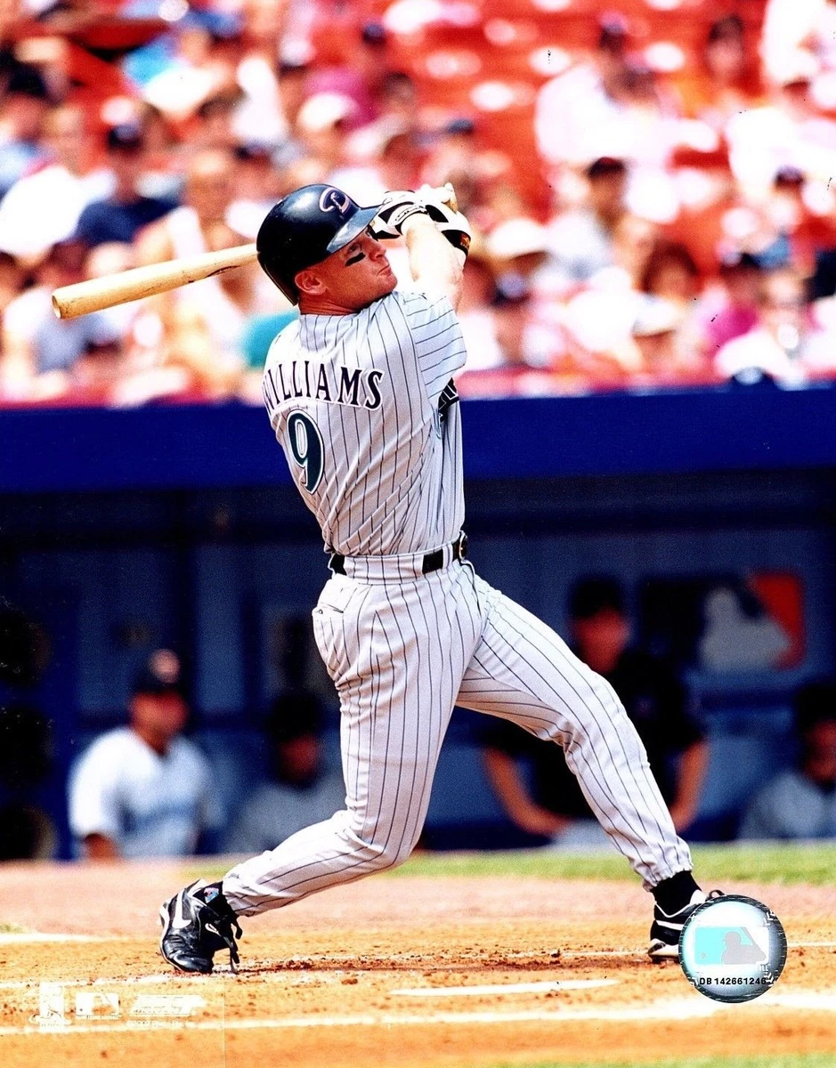 Matt Williams Diamondbacks Player