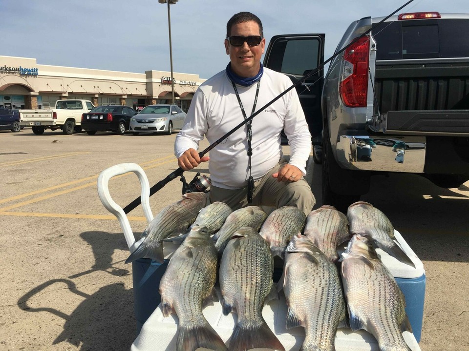Striped Bass, Striper, Hybrid and Whitebass Fish Thumper Attractor With ...