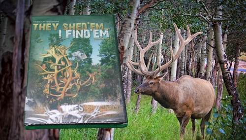 TINES UP...THEY SHED 'EM.I FIND 'EM VOLUME 2 DVD ELK DEER ANTLER HUNTS ...