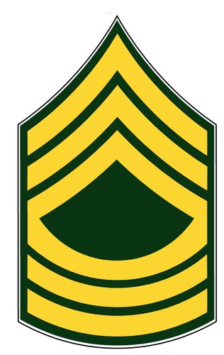 STICKER RANK US ARMY E8 MASTER SERGEANT | eBay