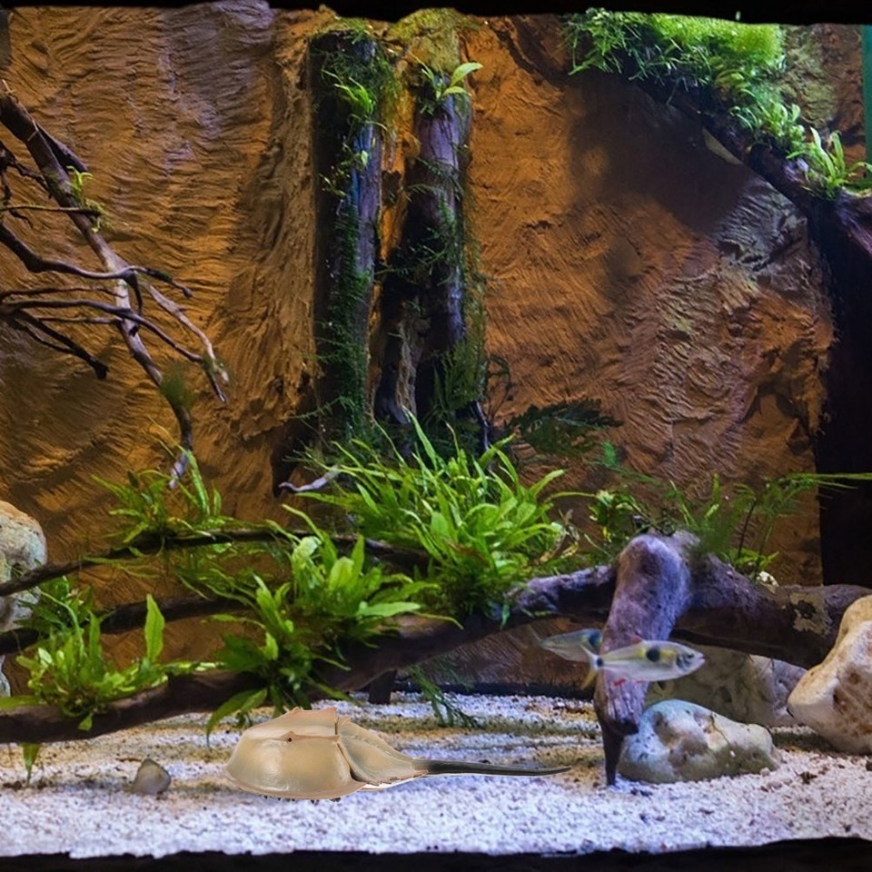 Realistic Sea Animal Artificial Limuloid Fake Lifelike Fish for Cabinet ...