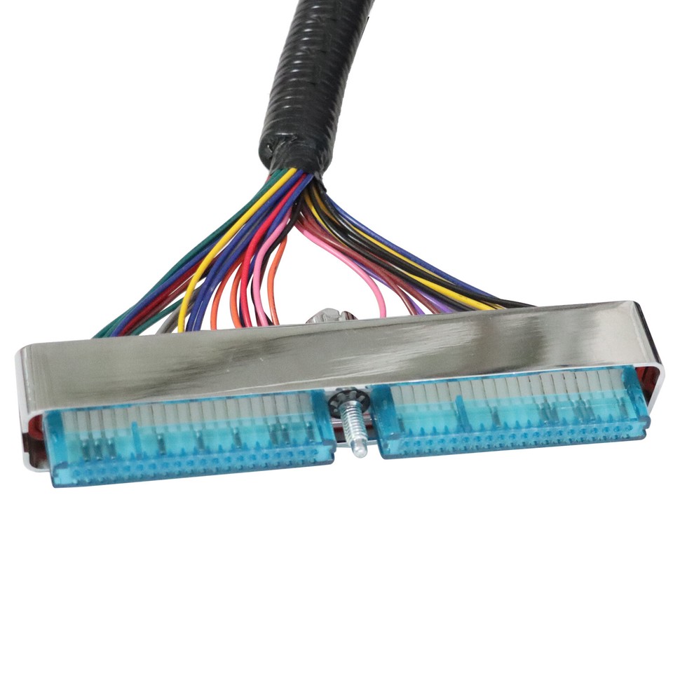 W/4L80E Standalone Wiring Harness (DBC) For 1997-2006 LS LS1 LS6 SWAP ...