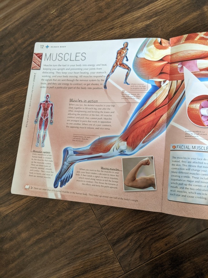 Human Body Miranda Smith Book | eBay