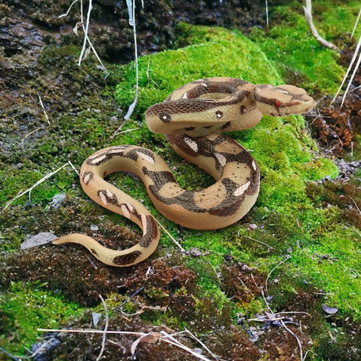 Fake Realistic Mini Rattlesnake Snake Scary Toy Prank Party Joke ...