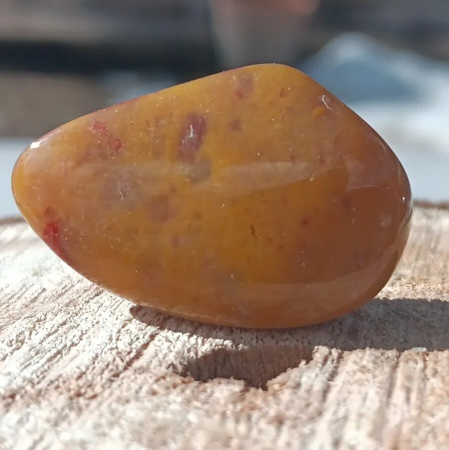 Petrified Wood Polished Yellow Cat Utah Fossil Rare Limb Cast Quartz W ...