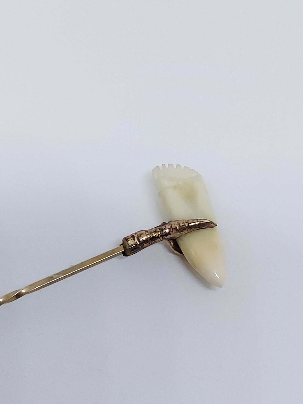 Antique Victorian Eagle Claw Stick Pin Gold Tone Carved Tooth | eBay