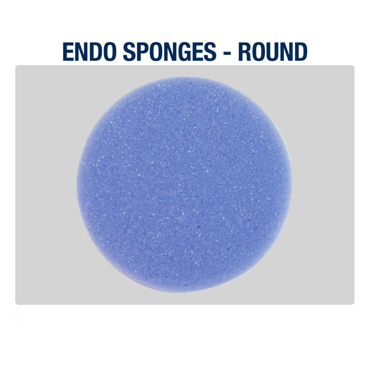250pcs Dental disposable Endo Sponges replacement Round sponge for ...