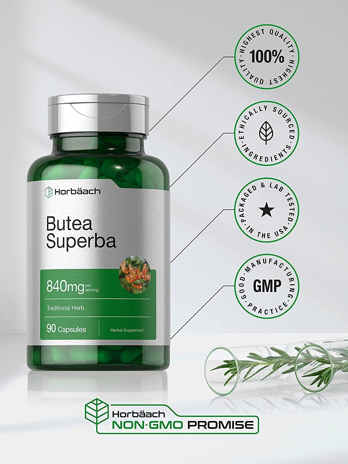 Butea Superba | 840mg | 90 Capsules | Male Supplement | by Horbaach | eBay