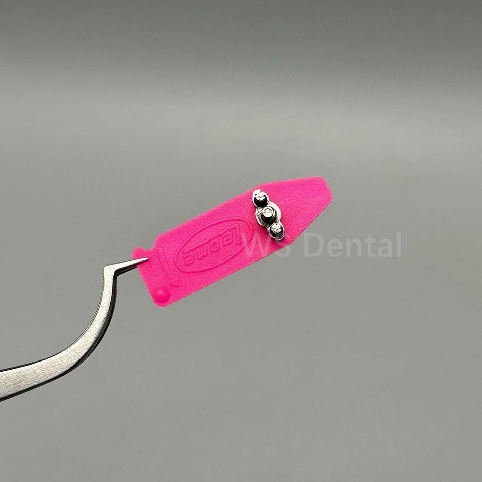 Leone Orthodontic Screws Dental Expansion Screw Palatal Expander A0800 ...