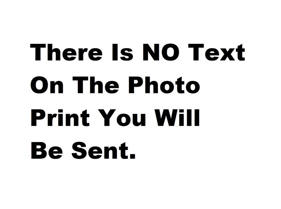 Sexy Mature Model Topless Big Busty Female Women Hot Naked Style 5X7 ...