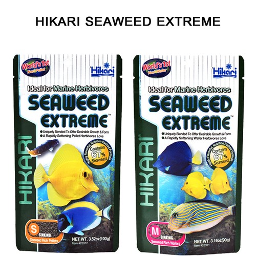 Hikari Seaweed Extreme Sinking Algae Pellets for Smaller Marine ...