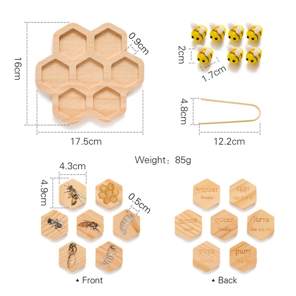 Life Cycle Tray Puzzle Teaching Aids Cognitive Toddlers Fine Motor ...
