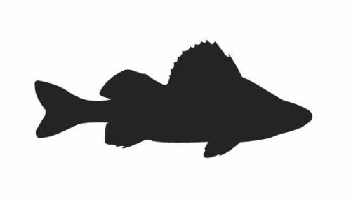 Perch Silhouette Vinyl Decal | eBay