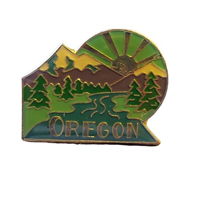 OREGON Travel Pin | eBay