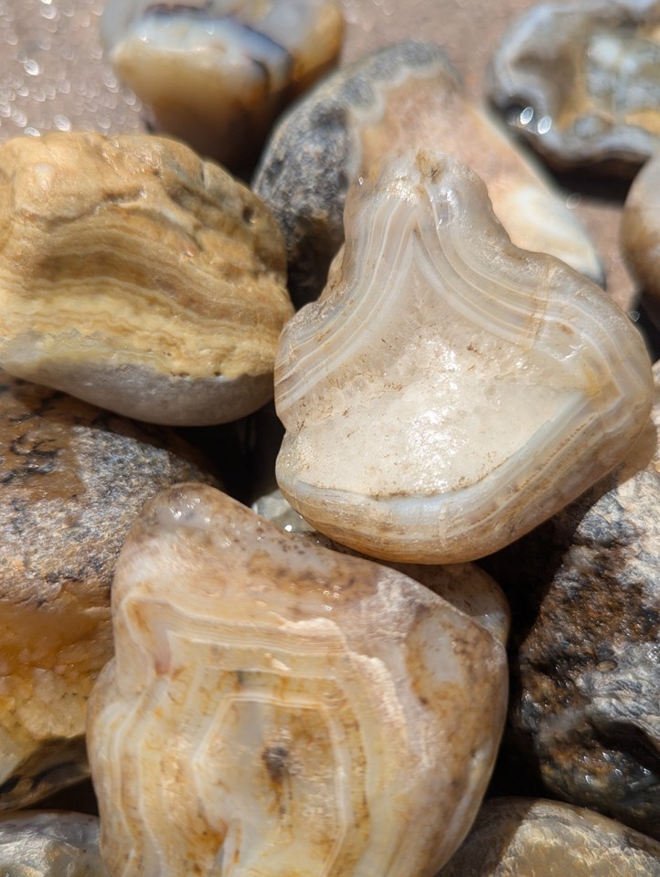 Montana Moss Agate/Treasure State Agate Lot Rough | eBay