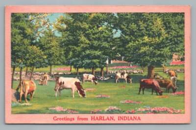 Greetings from HARLAN Indiana Vintage Allen County Postcard 1909 | eBay