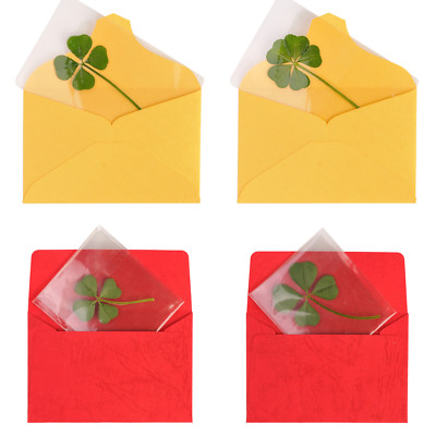 Real 4 Four 5 Leaf Clover Irish Shamrock Good Luck Charm Wedding Favor ...